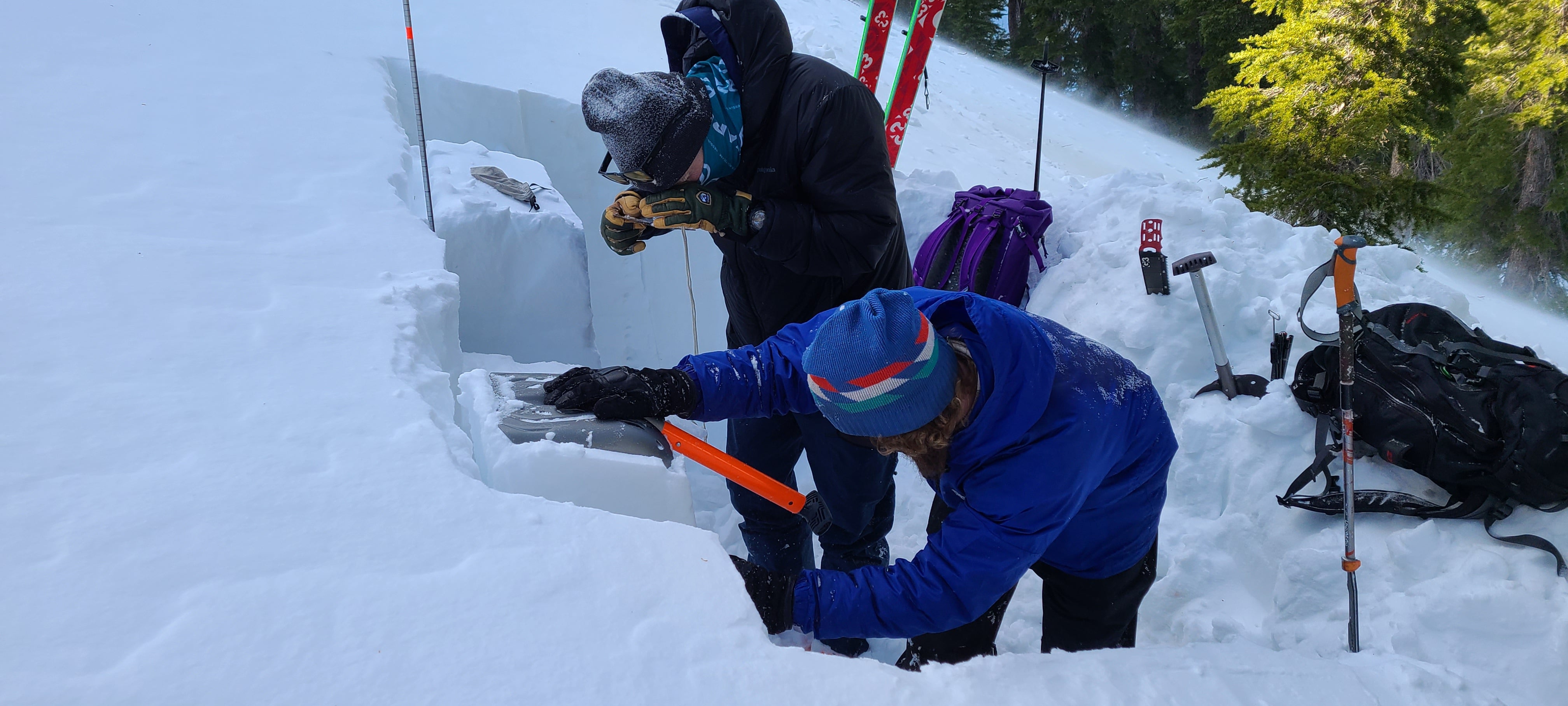 Avalanche Courses | Blackbird Mountain Guides – Blackbird Mountain Guides, LLC