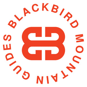 Solo Summit of the Matterhorn Hornli Ridge | Blackbird Mountain Guides